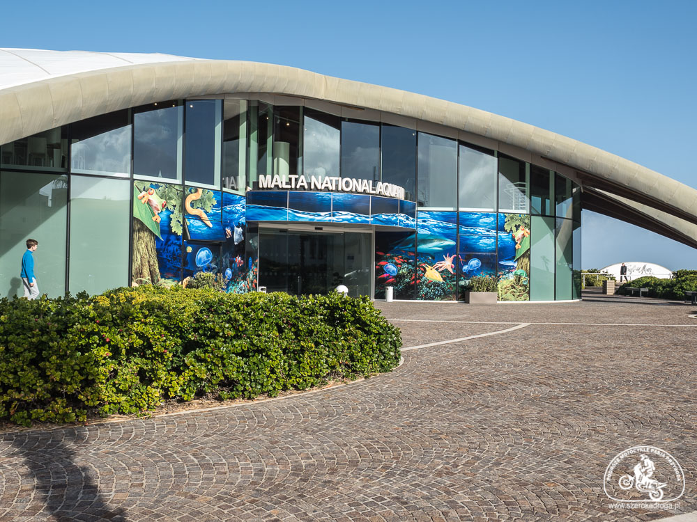 Malta National Aquarium - Oceanarium Malta. Podwodny świat